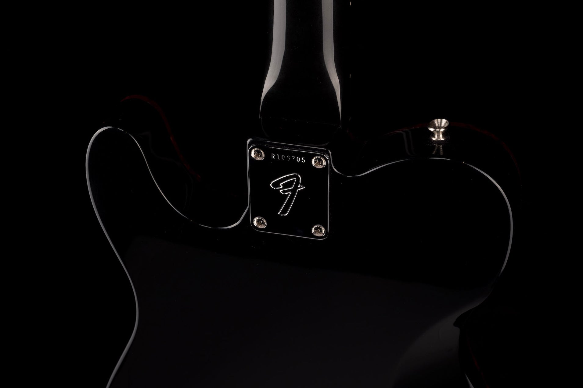 Fender Custom Shop Masterbuilder's Apprentice Levi Perry Telecaster De ...