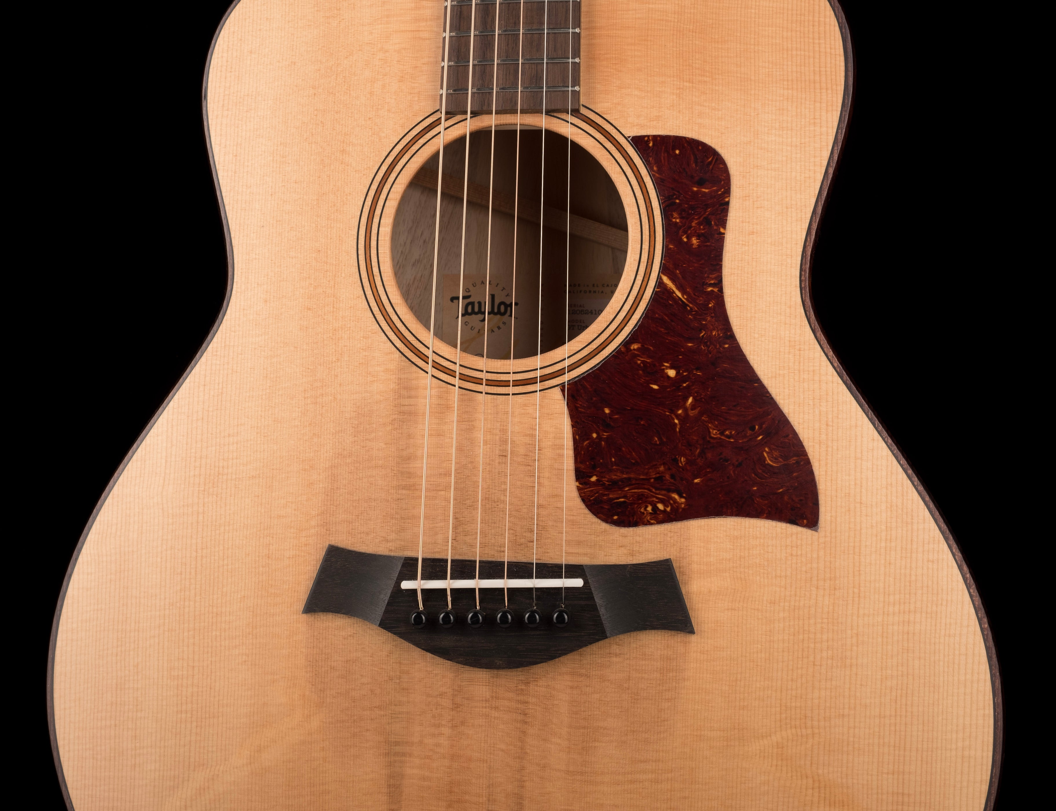 Taylor GT Urban Ash Acoustic Guitar With Aerocase — Truetone Music