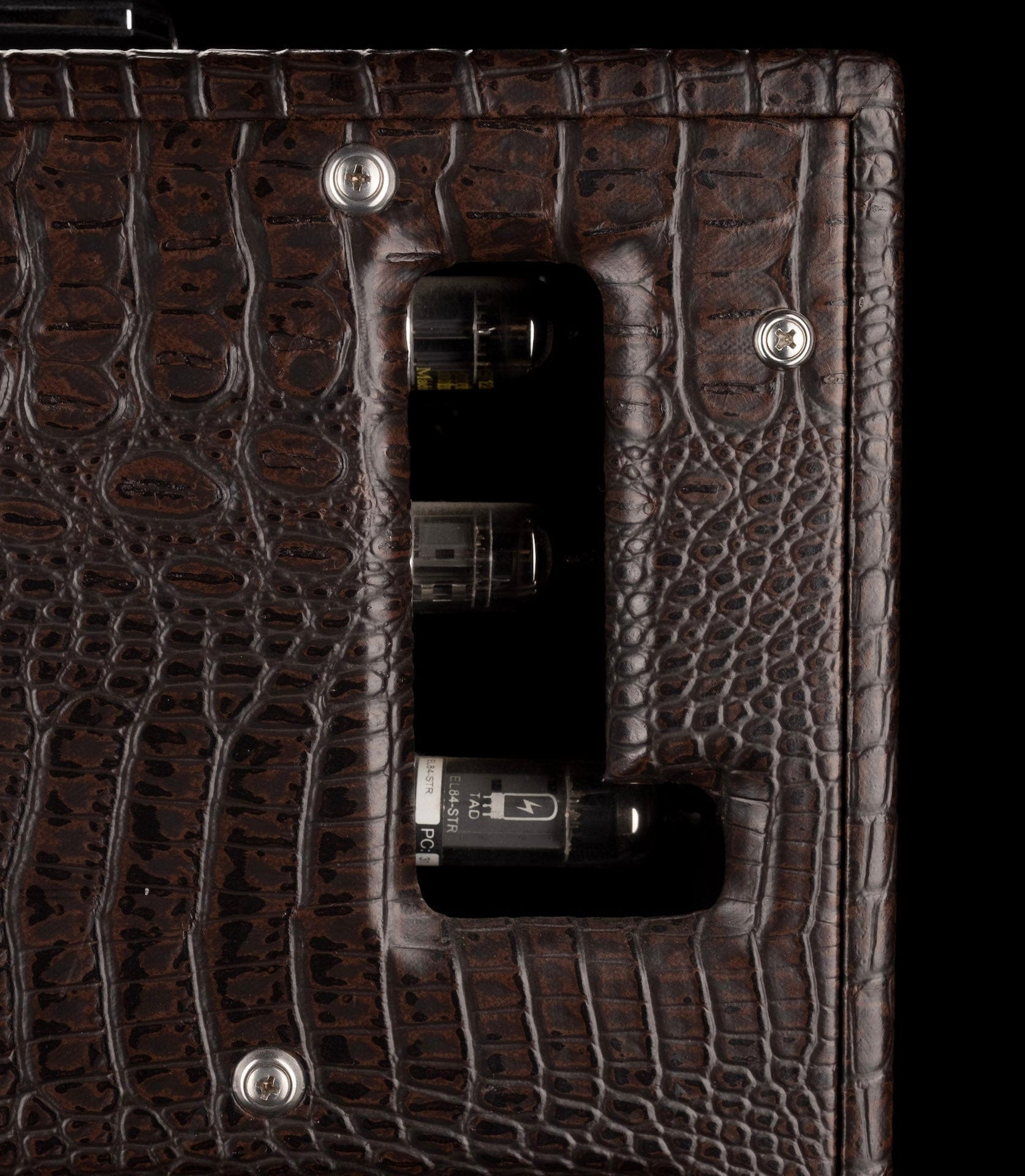 Used Carr Raleigh Gator Guitar Amp Combo — Truetone Music