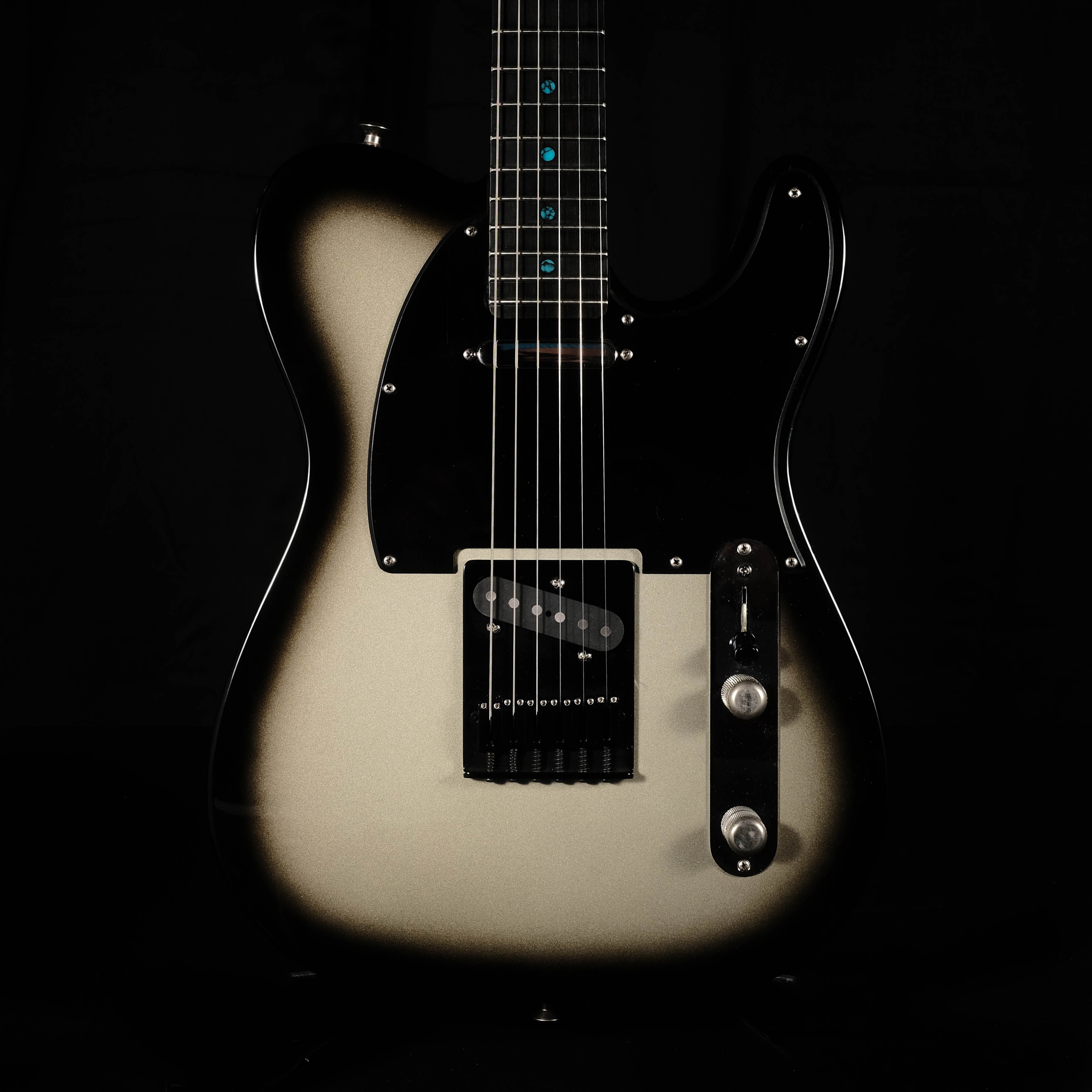 Jim Root Telecaster Relic Fender Artist Collection Jimmy Page Tele
